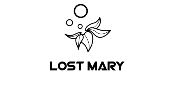 Lost Mary